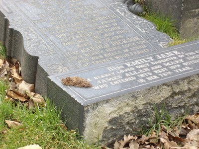 The Evil Desecration of Graves in Anfield Cemetery – England's England